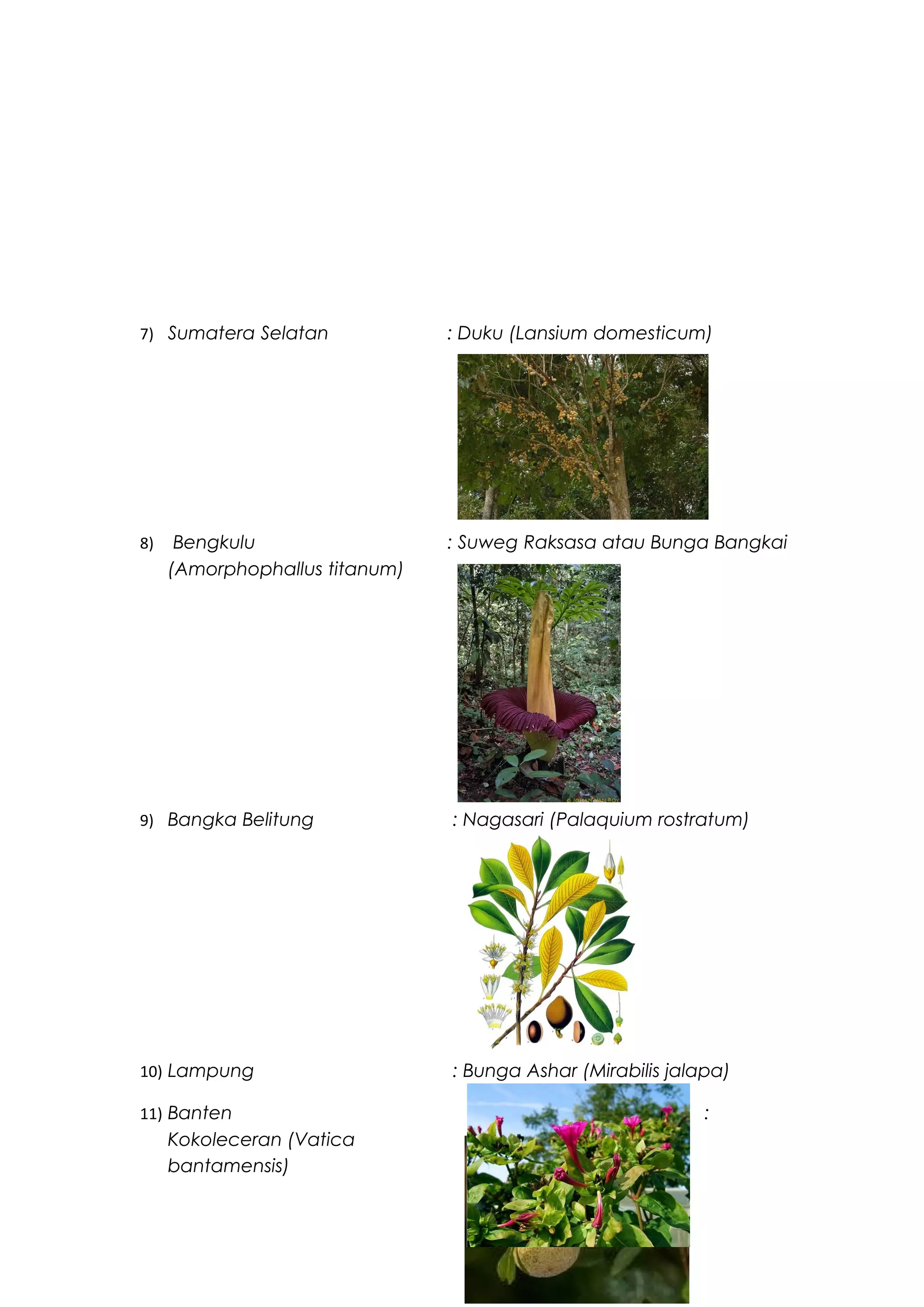 Flora dan Fauna Maskot di Indonesia | DOC