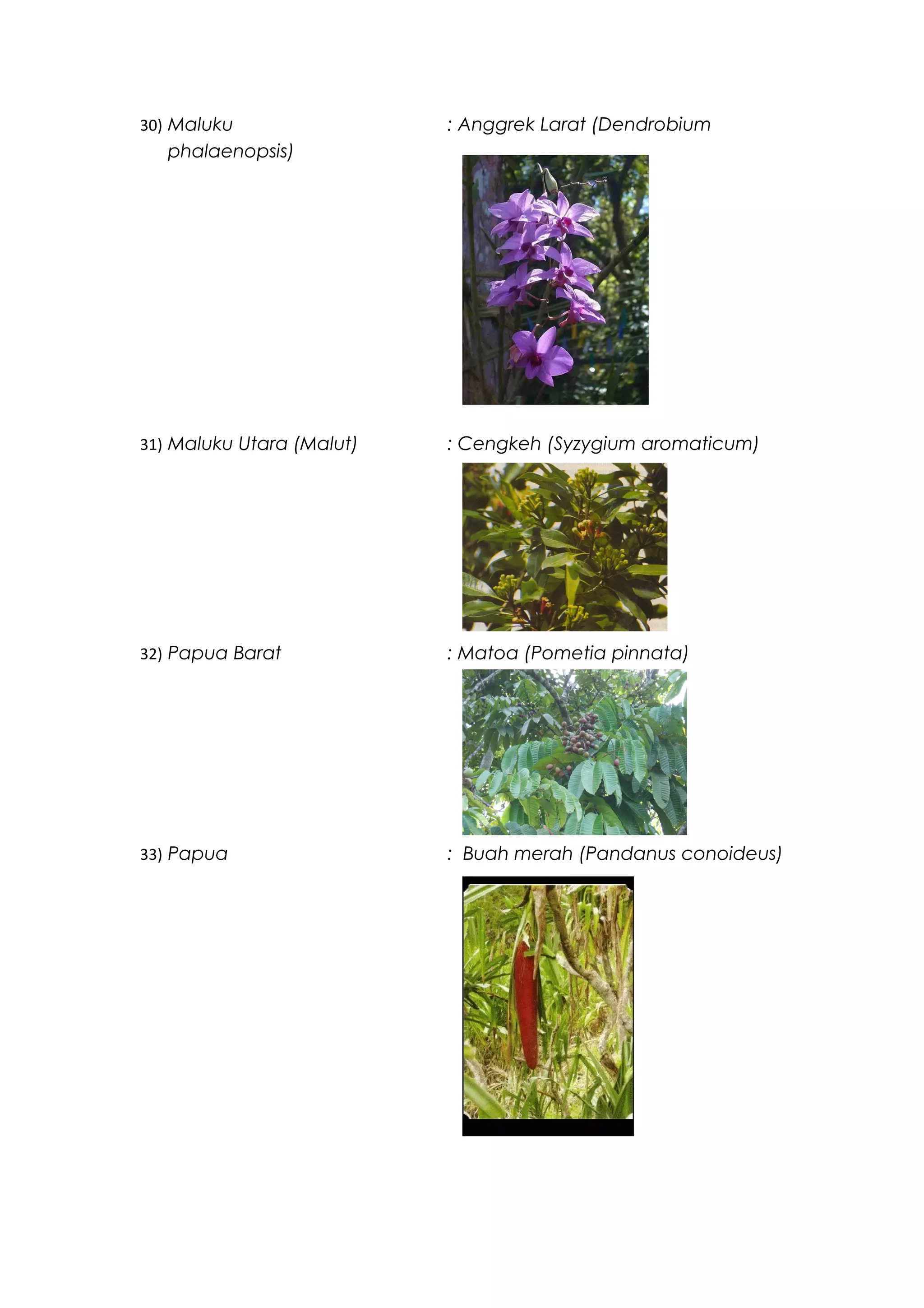 Flora dan Fauna Maskot di Indonesia | DOC