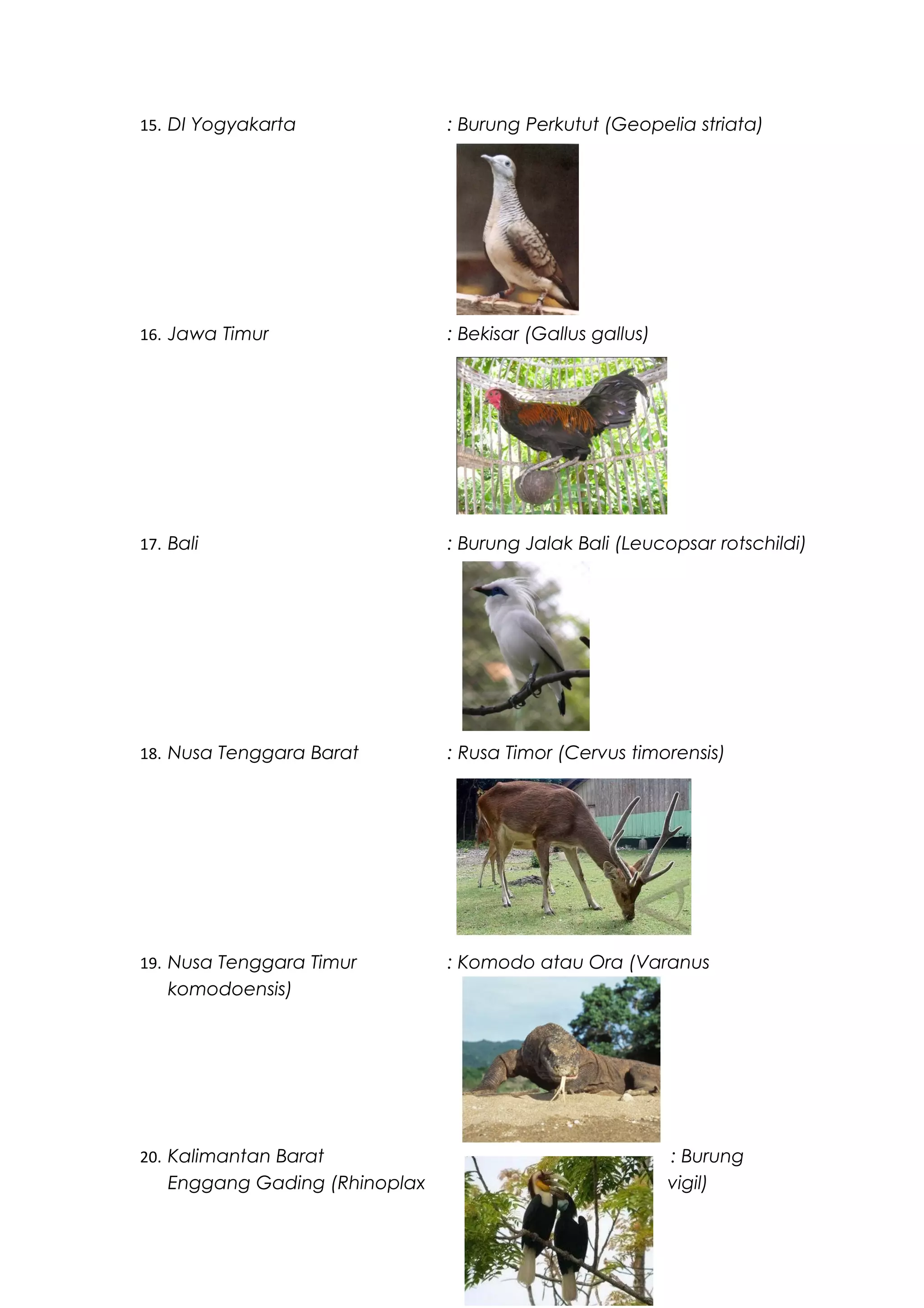 Flora dan Fauna Maskot di Indonesia | DOC