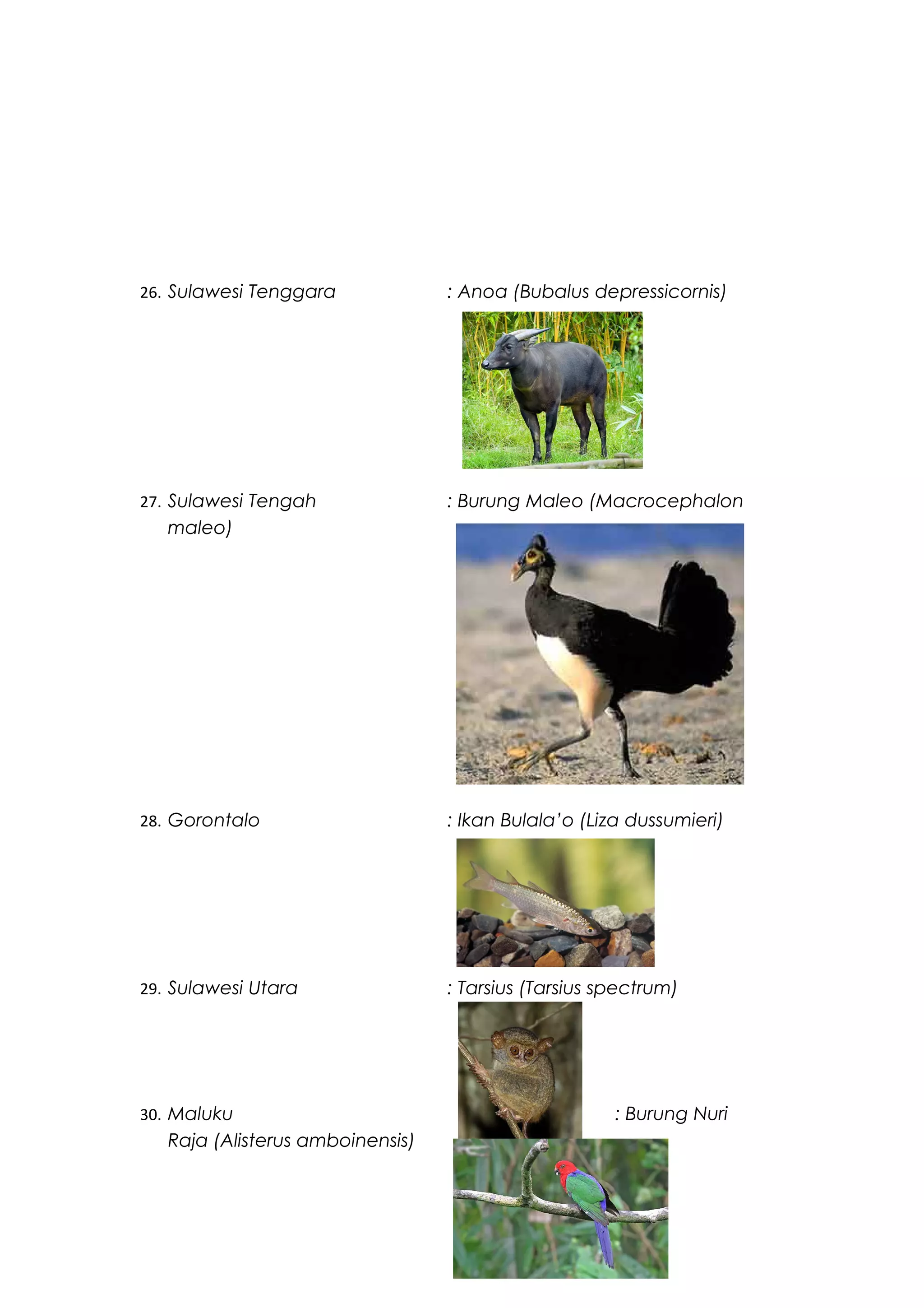 Flora dan Fauna Maskot di Indonesia | DOC