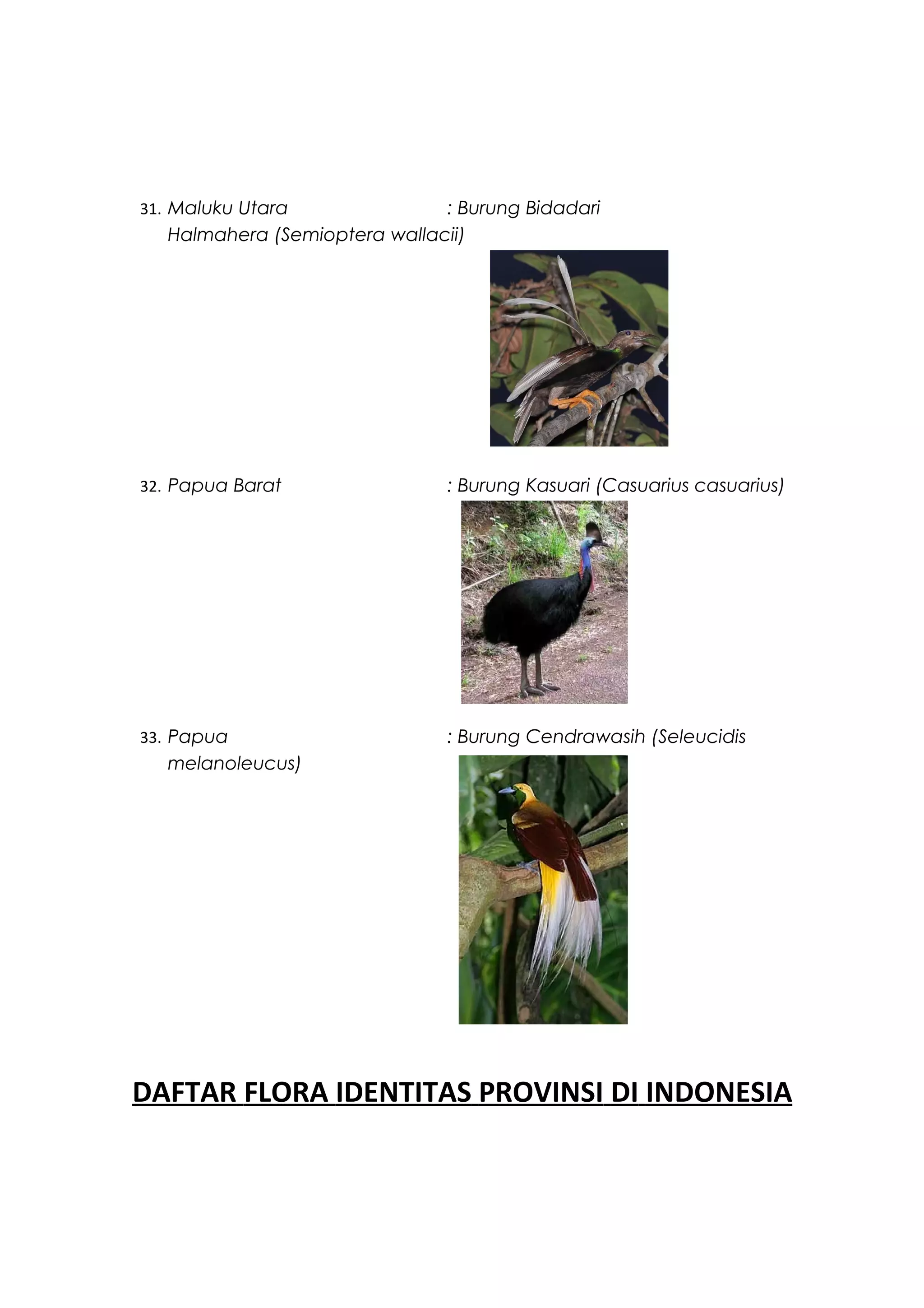 Flora dan Fauna Maskot di Indonesia | DOC
