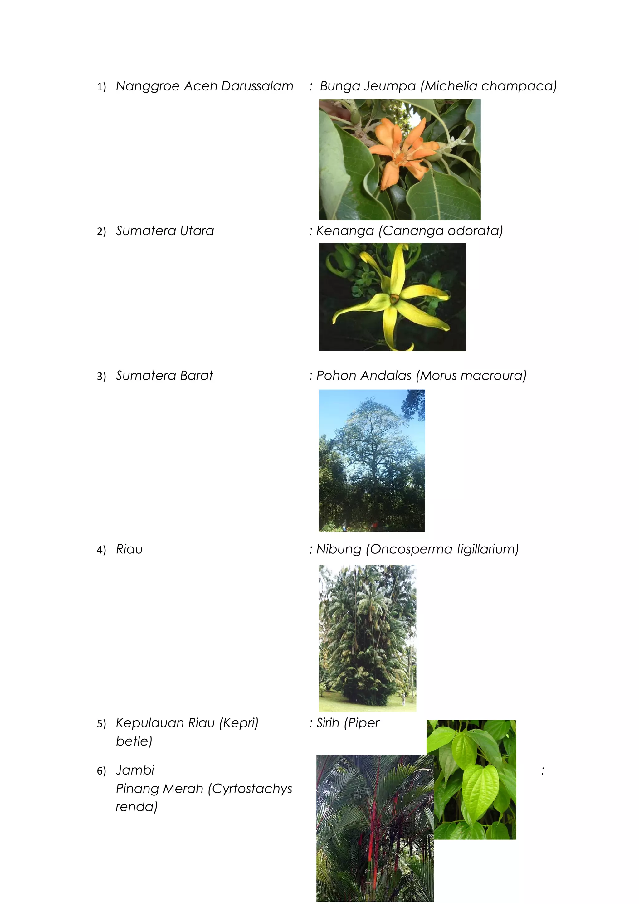 Flora dan Fauna Maskot di Indonesia | DOC