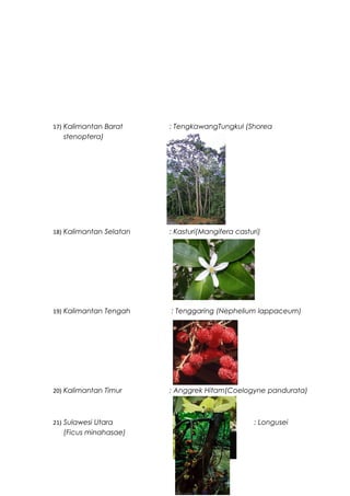 Flora dan Fauna Maskot di Indonesia | DOC