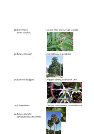 Flora dan Fauna Maskot di Indonesia | DOC