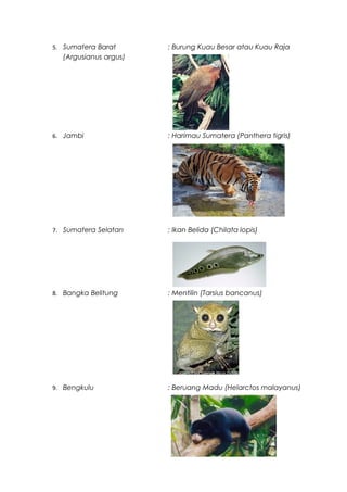 Flora dan Fauna Maskot di Indonesia | DOC