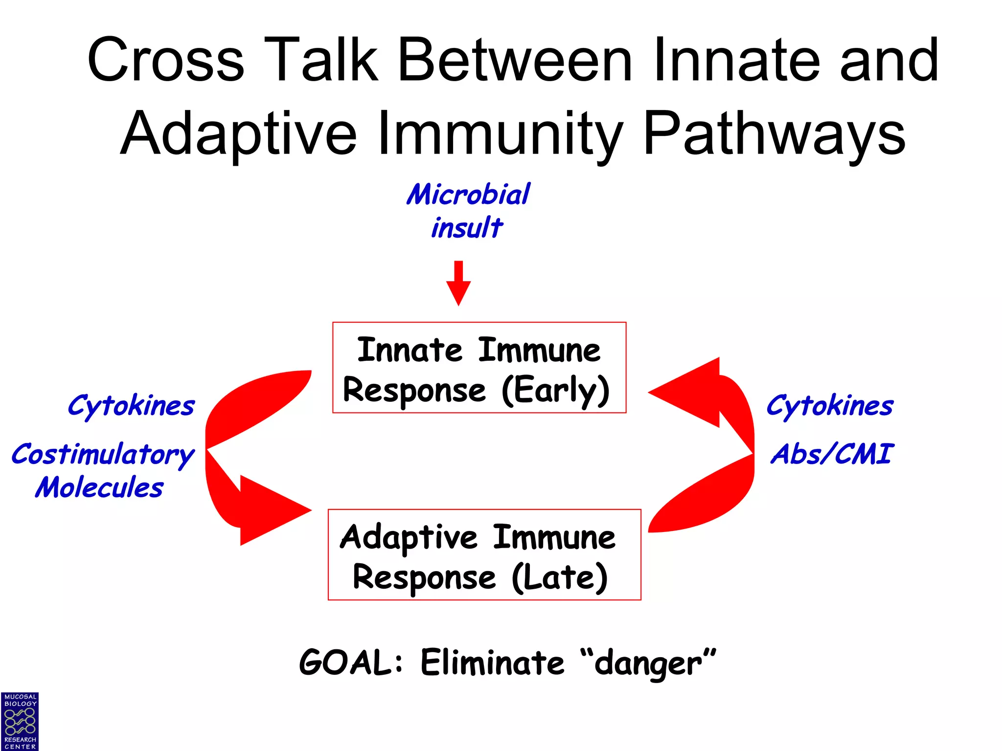 Gliadin, Intestinal Permeability, and Celiac Disease: From Innate ...