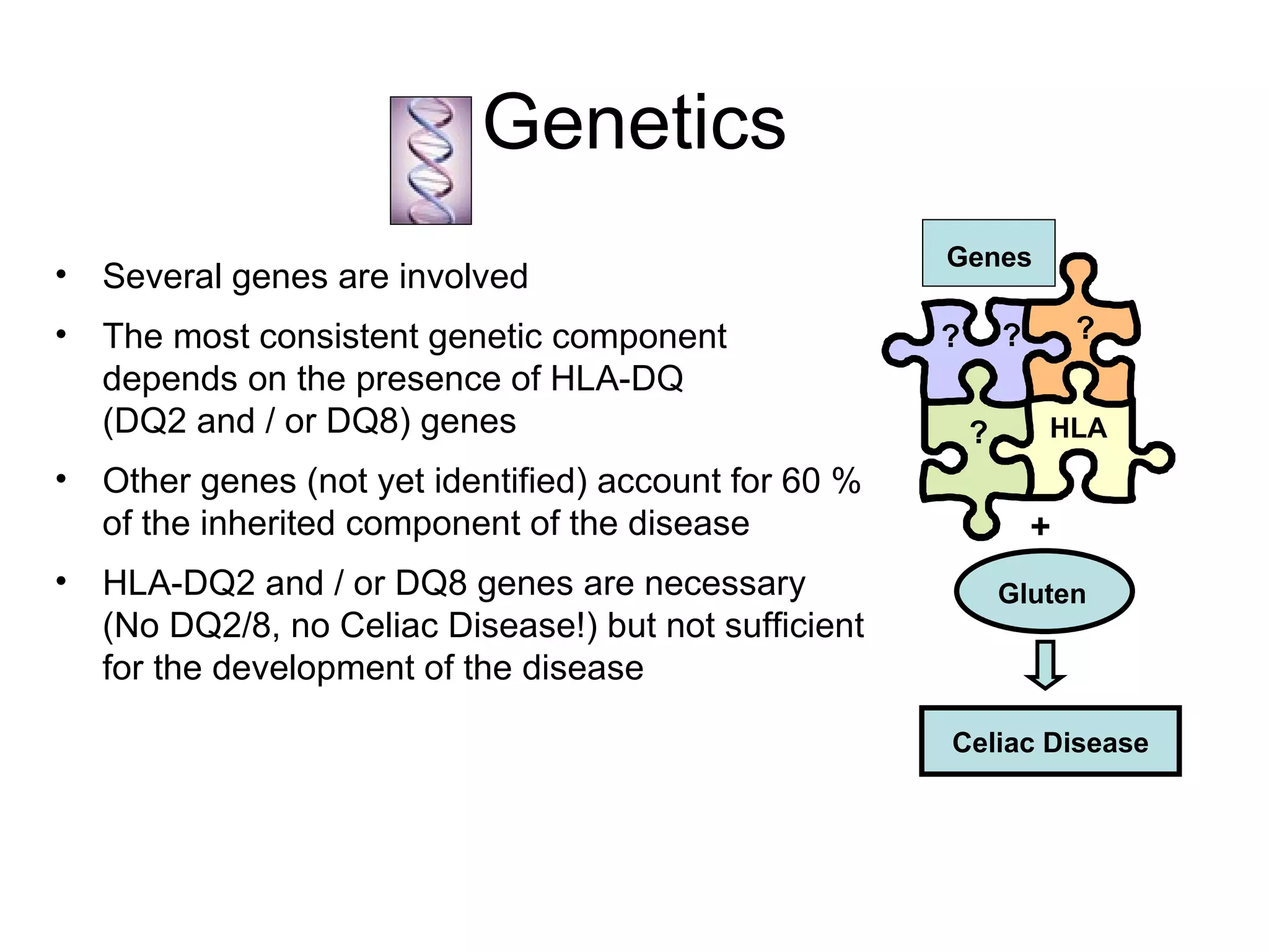 Gliadin, Intestinal Permeability, and Celiac Disease: From Innate ...