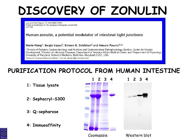 Health | This Victorian Eclectic