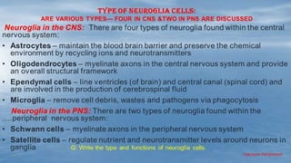 NEUROGLIA CELLS | PPTX