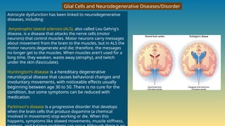 Neuron support glial cell introduction types disorder related | PPTX