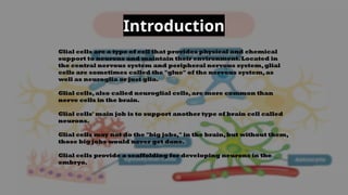 Neuron support glial cell introduction types disorder related | PPT
