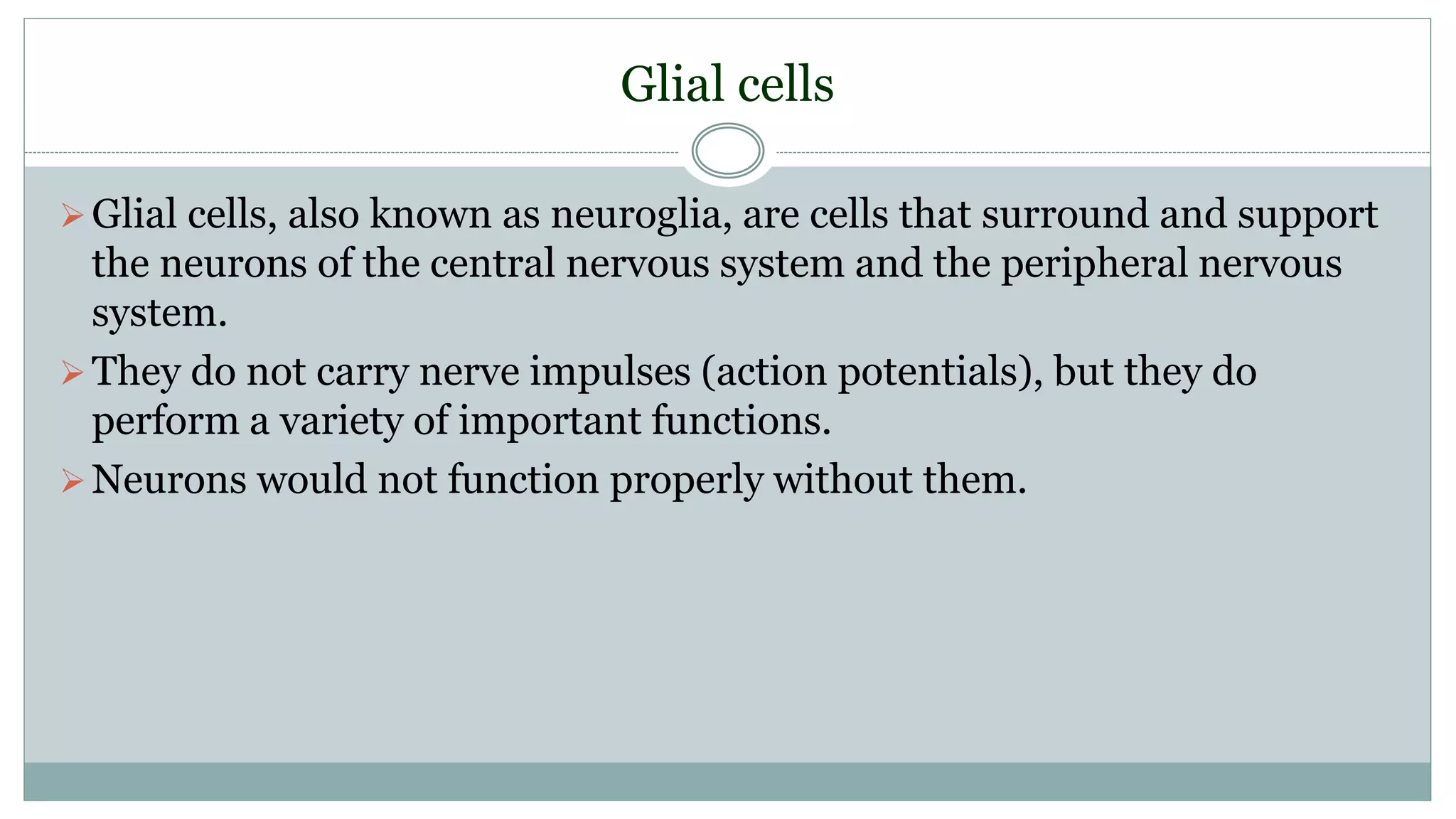 glial cells.pptx