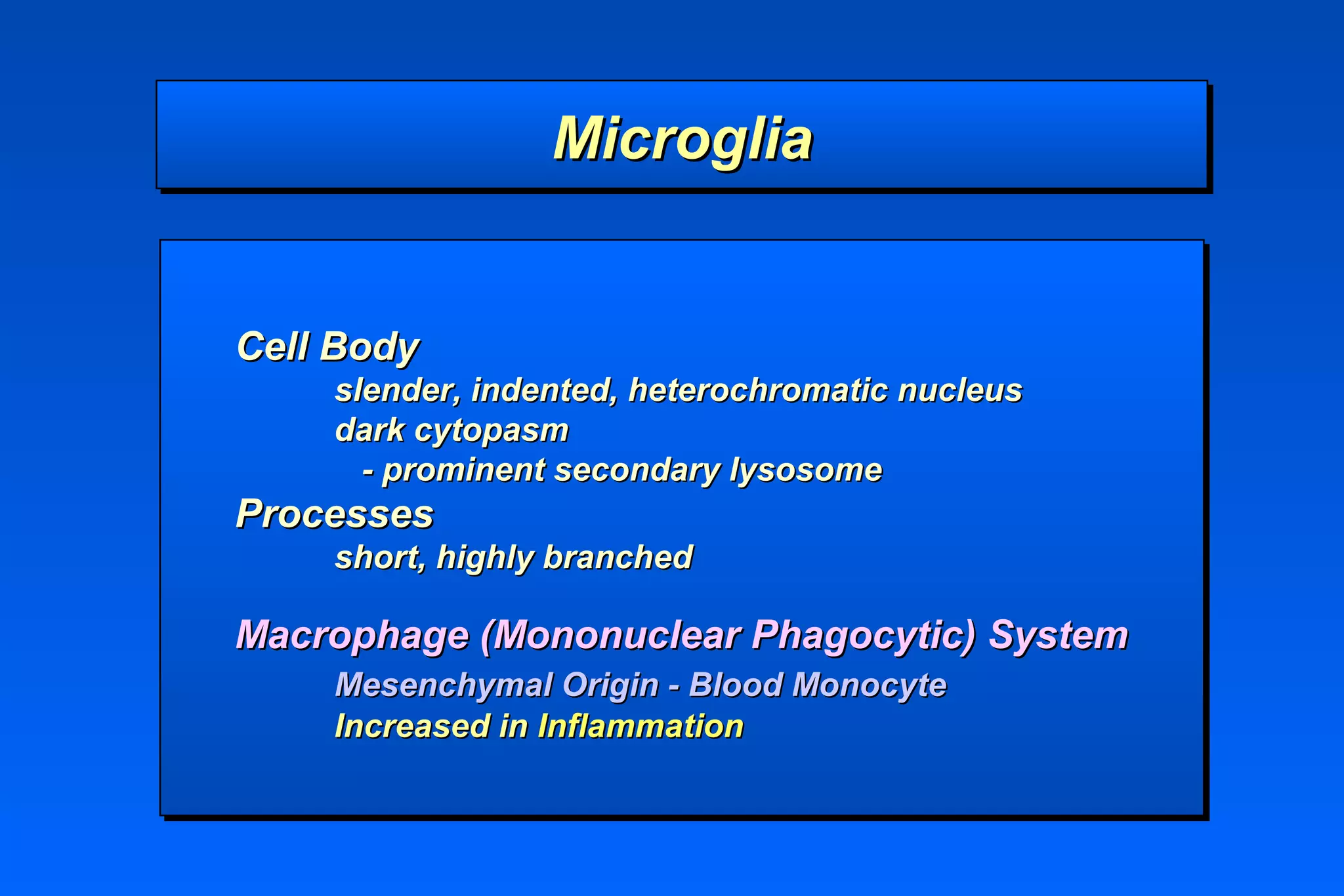 Glial cells - Neurobiology and Clinical Aspects | PPT