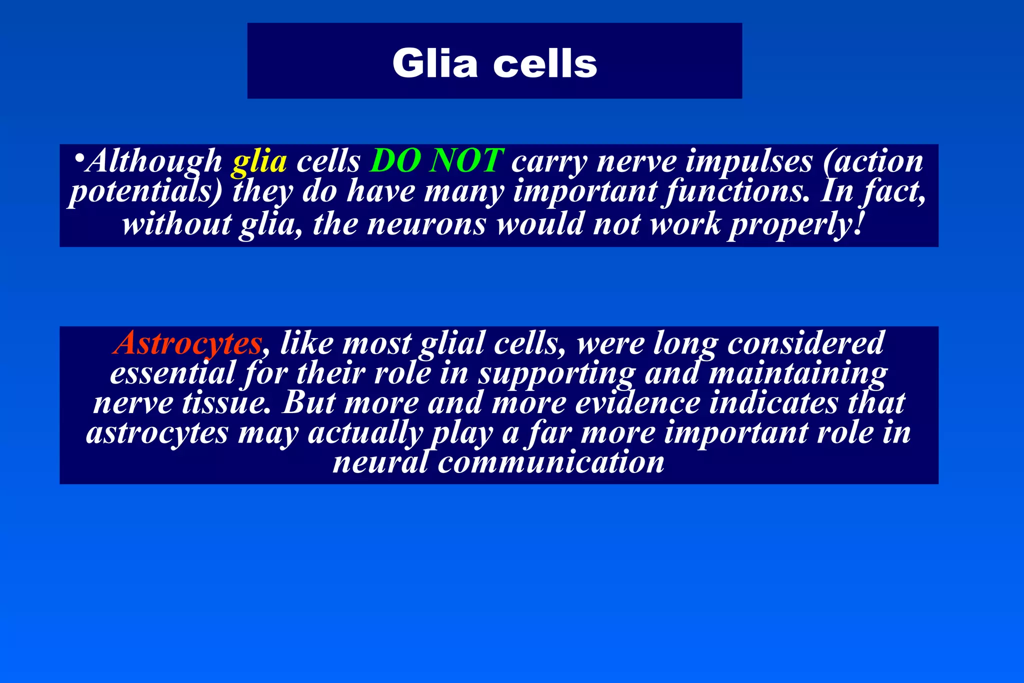 Glial cells - Neurobiology and Clinical Aspects | PPT