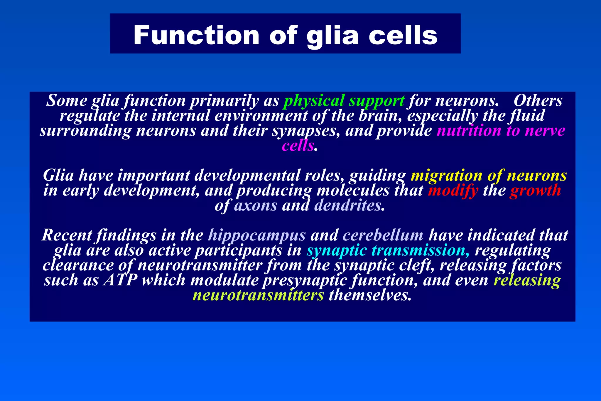 Glial Cells Neurobiology And Clinical Aspects Ppt 