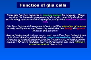Glial Cells Function