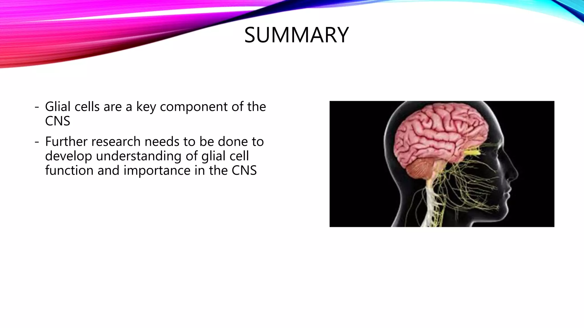Glial cells final group presentation | PPTX