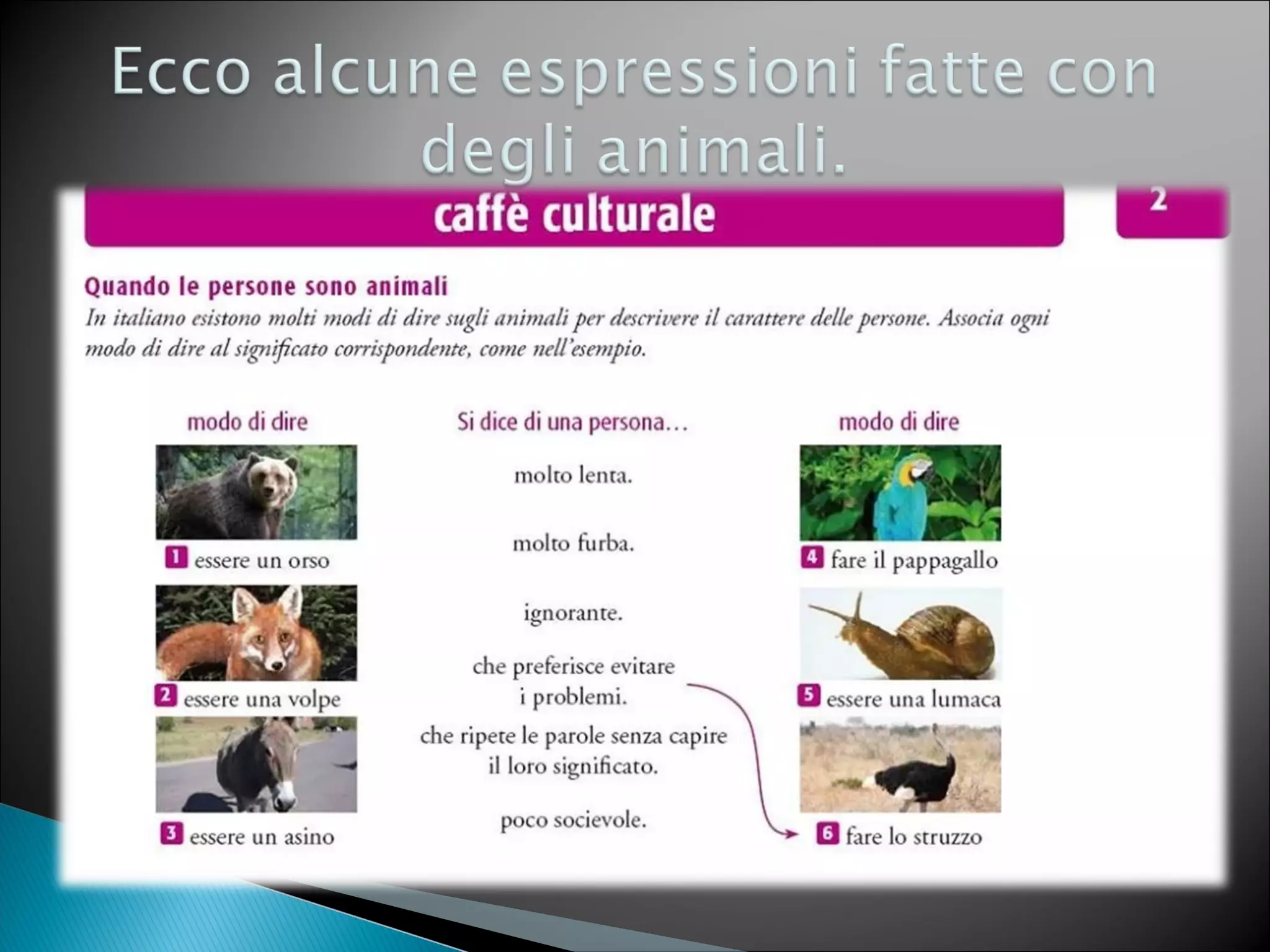 Gli animali domestici | PPT