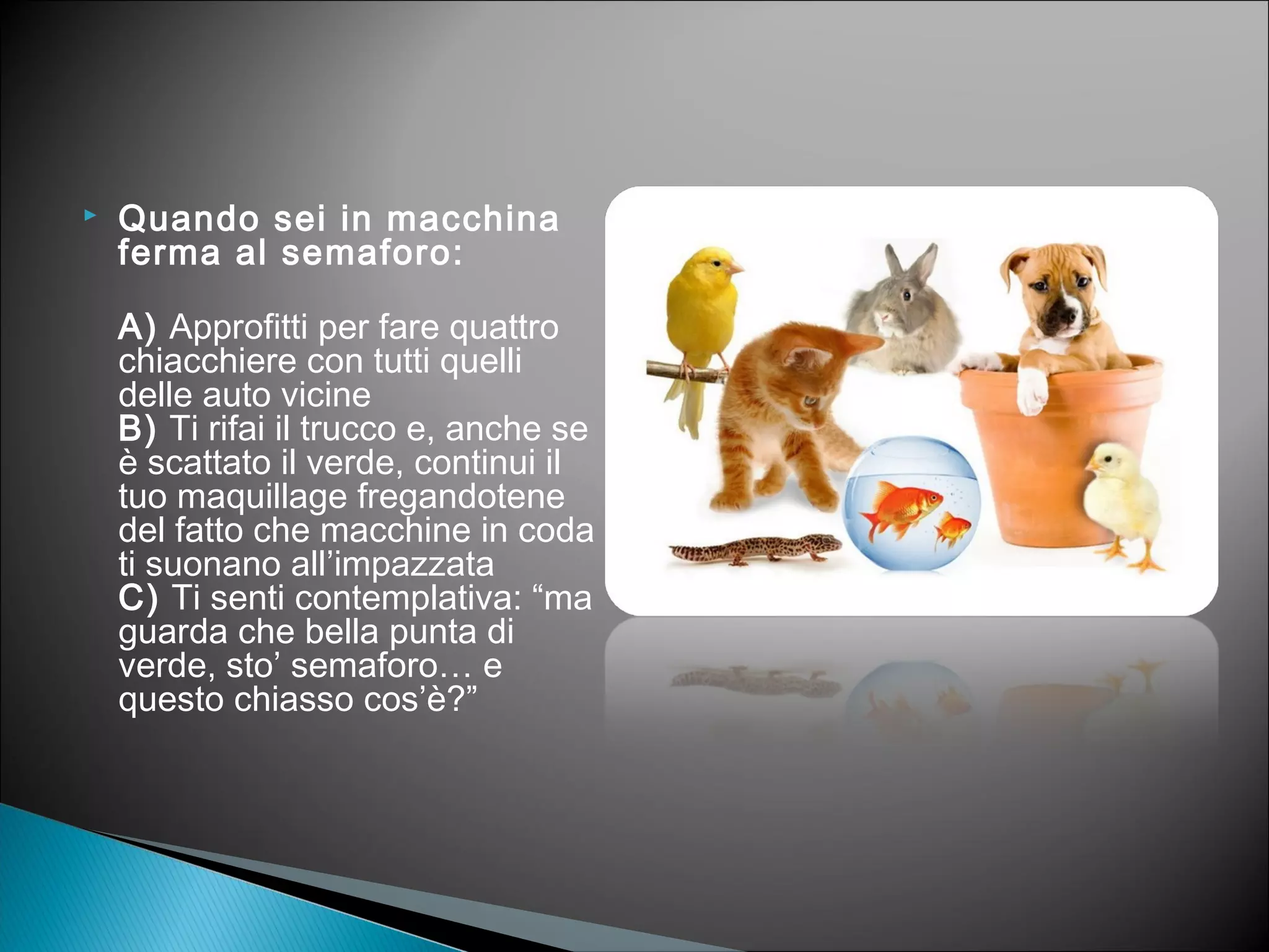 Gli animali domestici | PPT