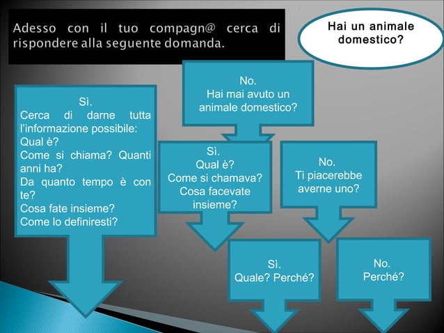 Gli animali domestici | PPT