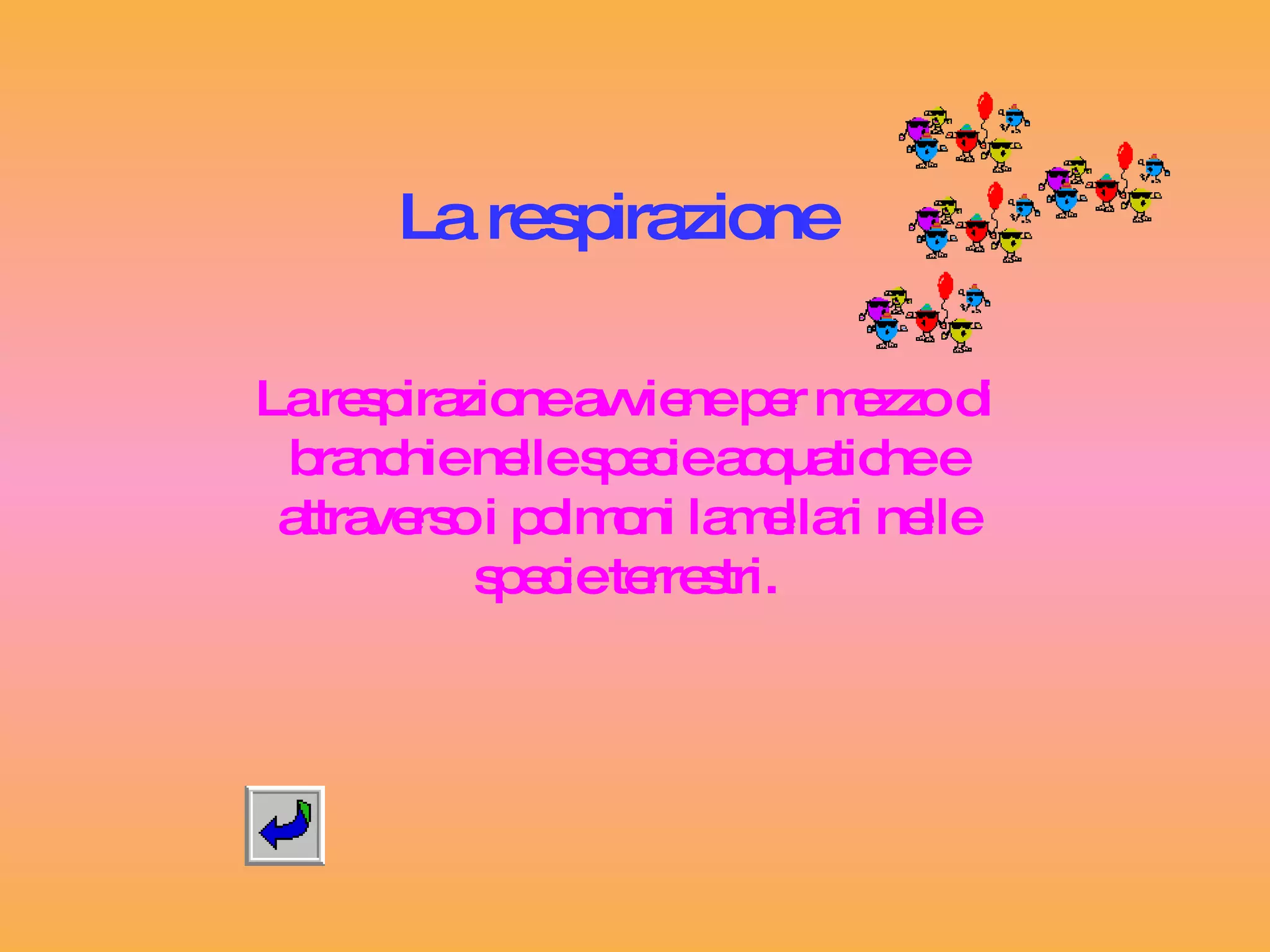 Gli Artropodi | PPT