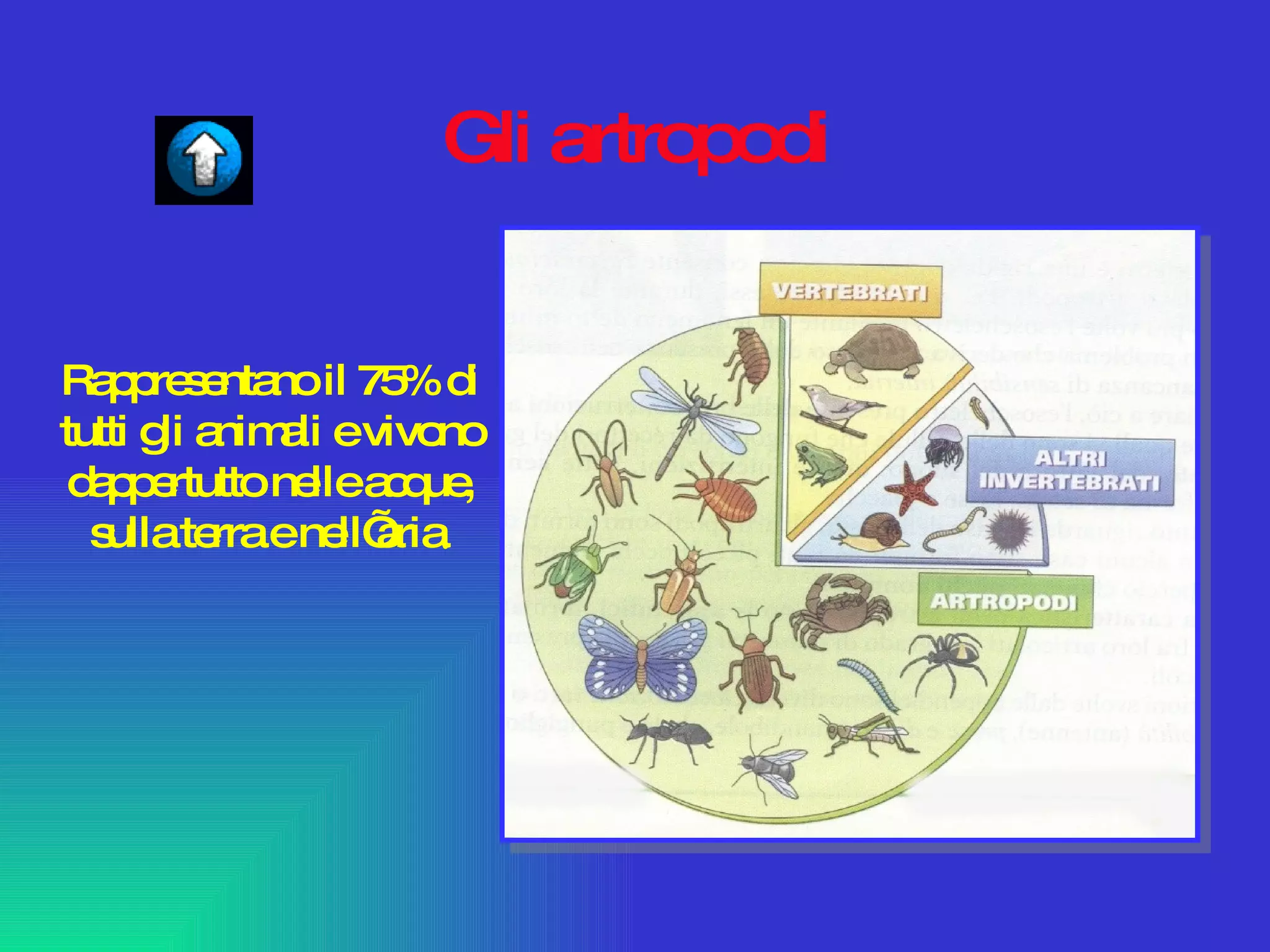 Gli Artropodi | PPT