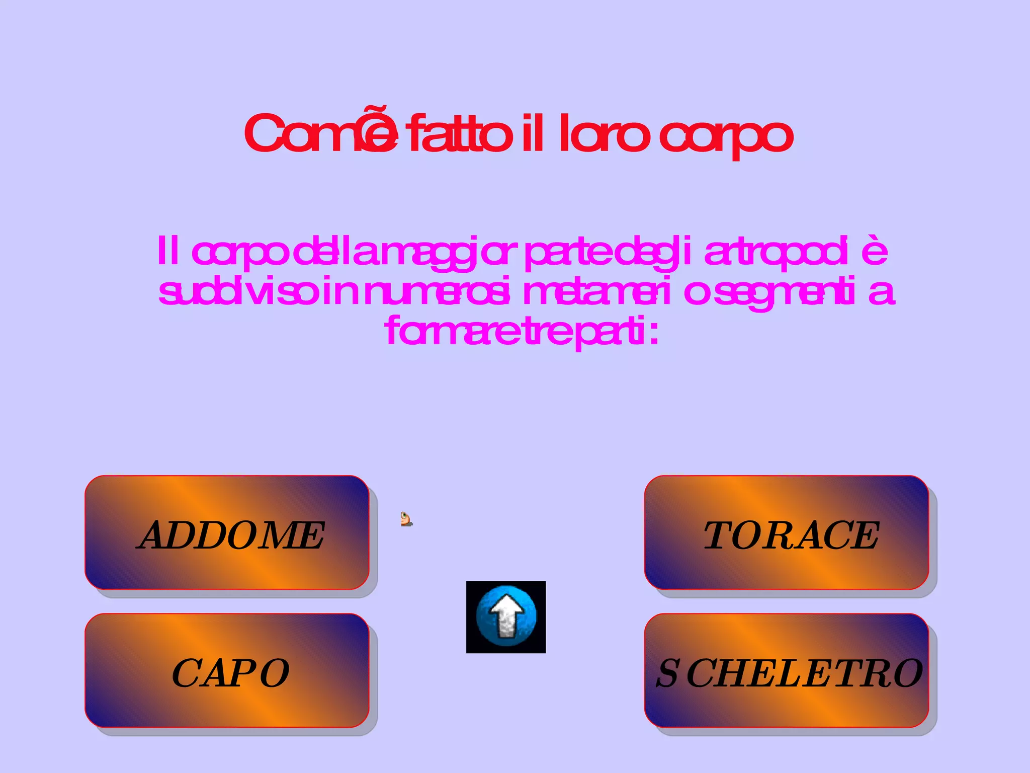 Gli Artropodi | PPT