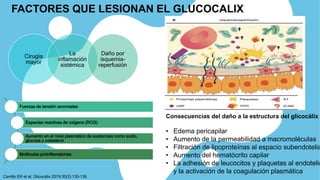glicocaix-240520002509-anestesio3cb48314.pptx