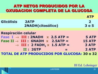 GLUCÓLISIS Y RESPIRACIÓN CELULAR | PPT