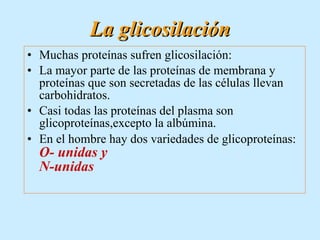 Glicoproteinas2 | PPT