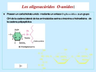 Glicoproteinas2 | PPT