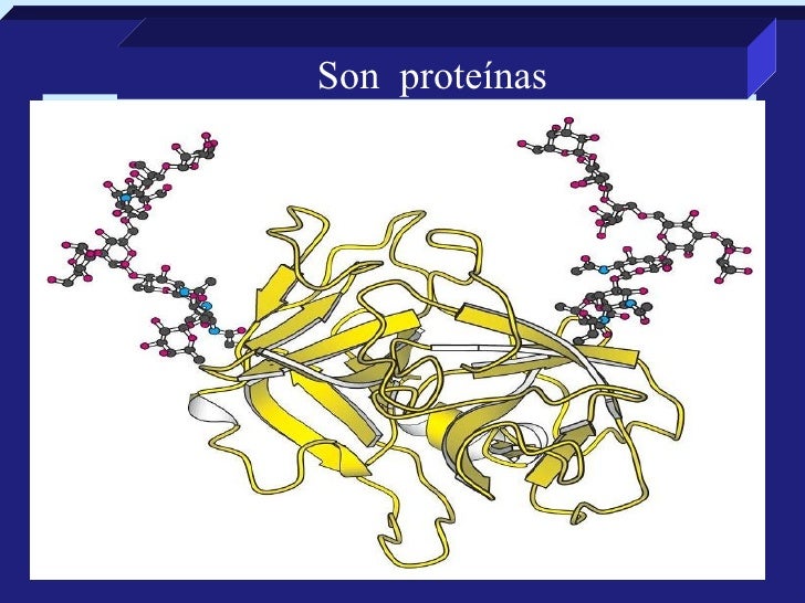Glicoproteinas2