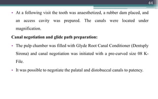 Glide path in endodontics | PPTX