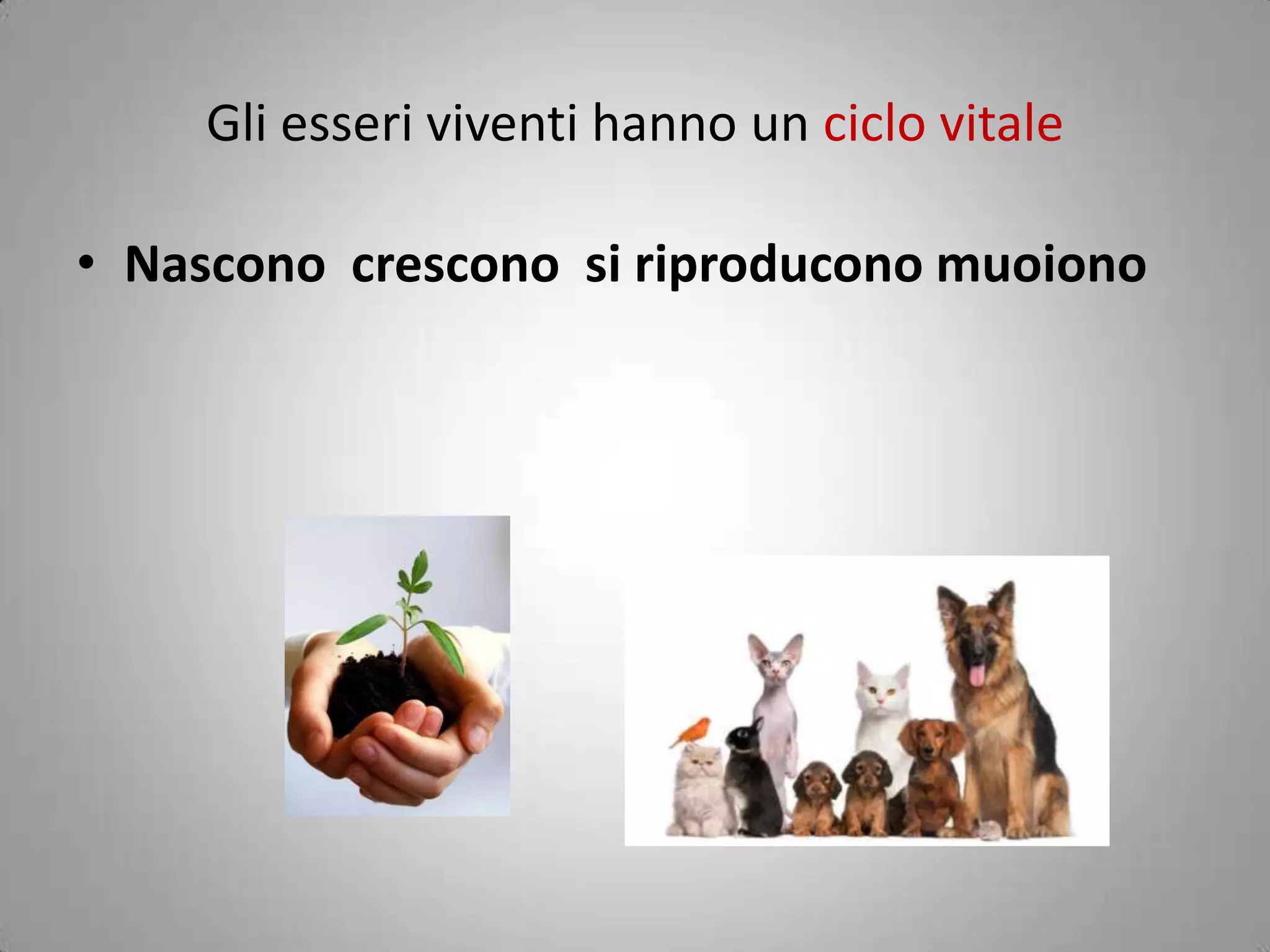 Gli esseri viventi | PPTX