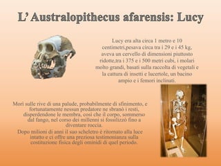 Gli incerti passi di lucy | PPT