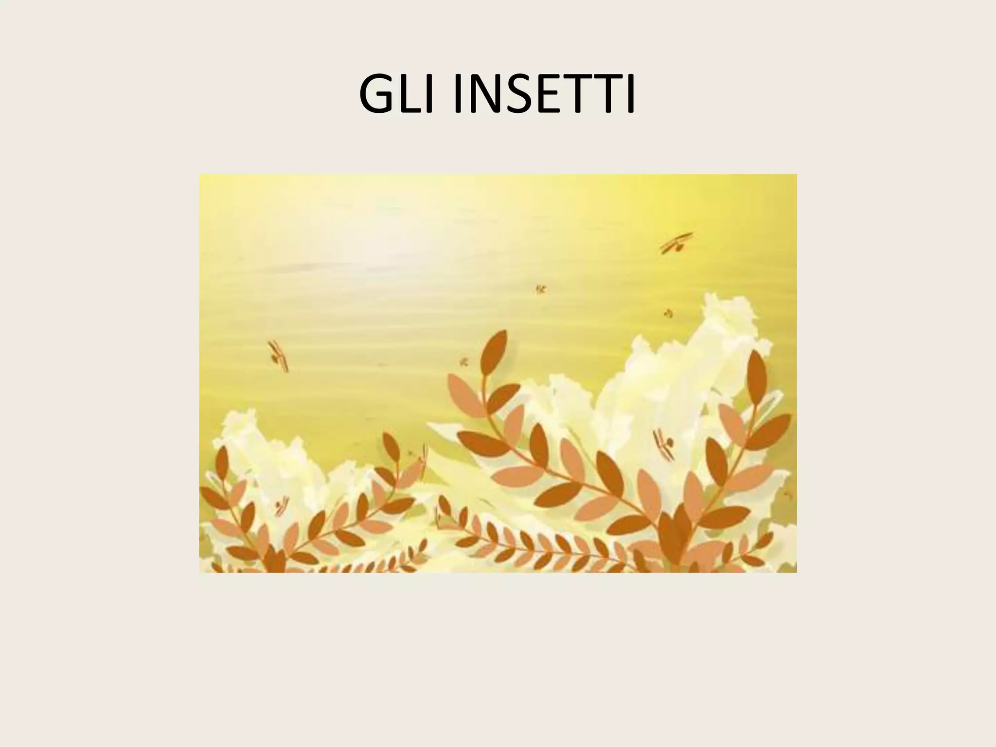 Gli insetti | PPTX