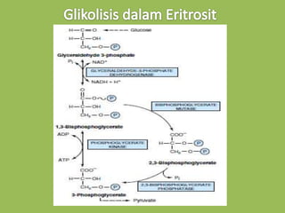 Glikolisis | PPTX