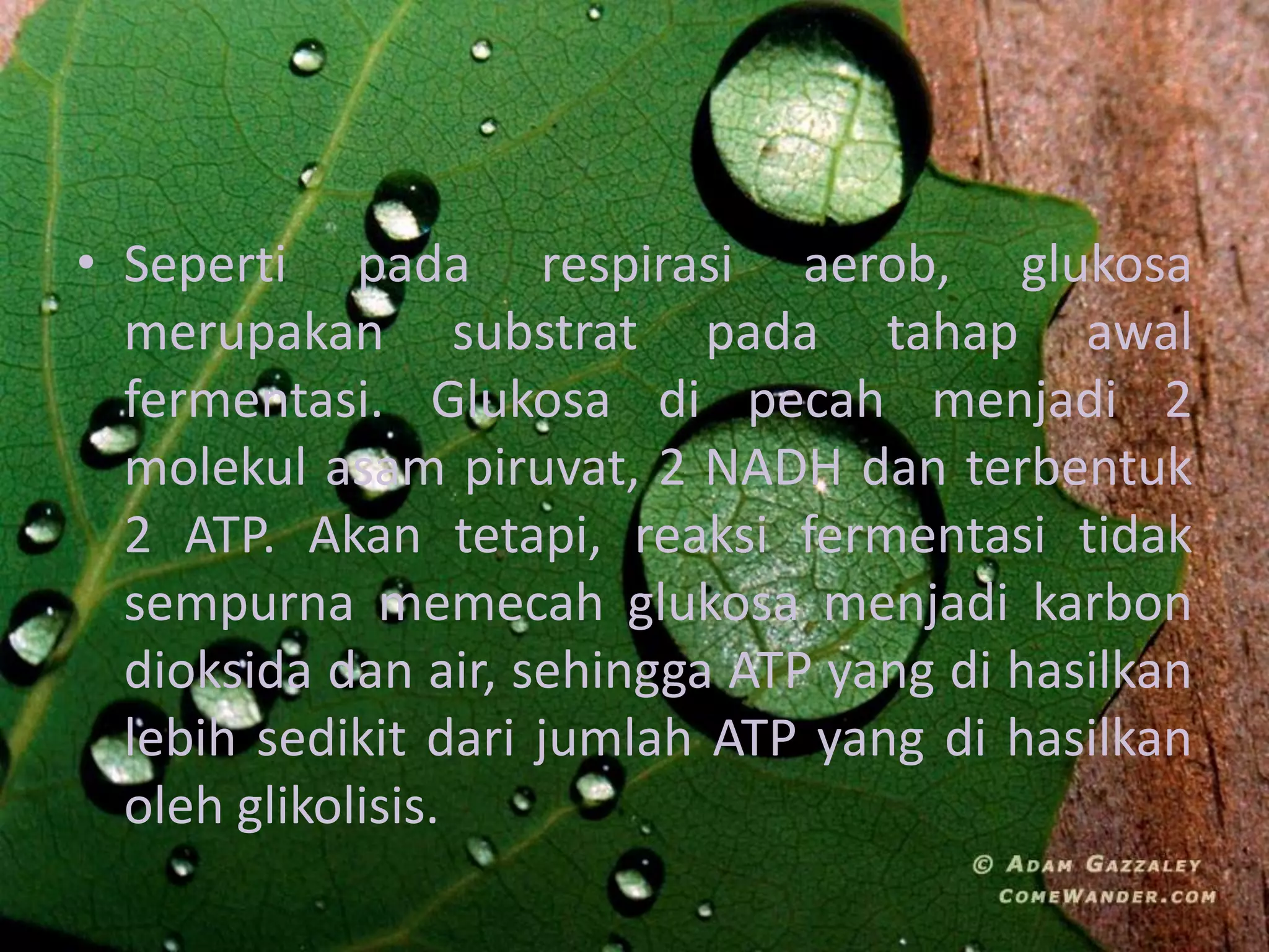 Glikolisis | PPTX