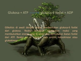 Glikolisis | PPTX