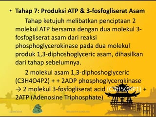 Glikolisis | PPTX
