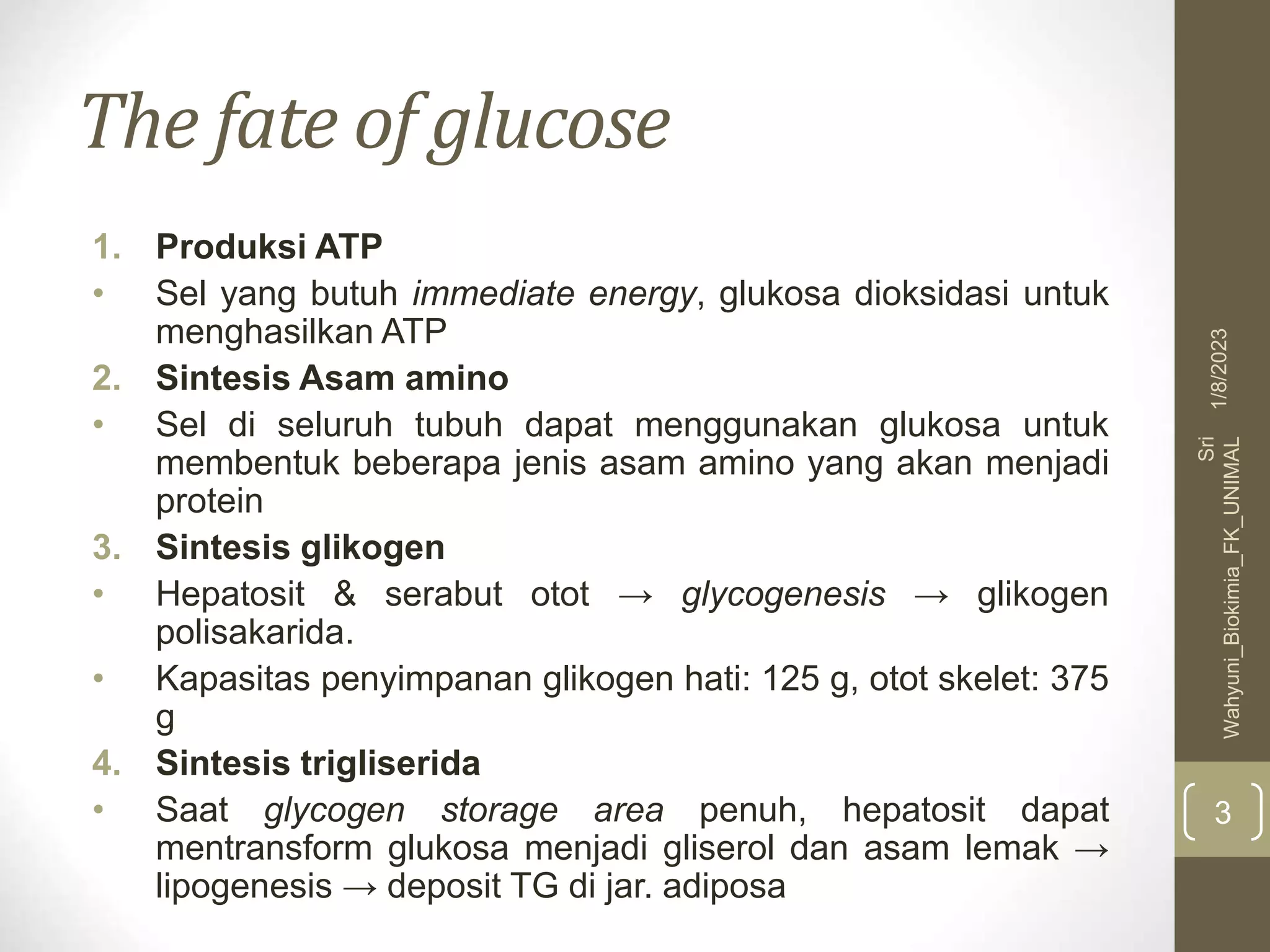 Glikolisis.ppt
