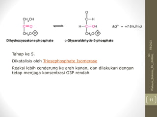 Glikolisis.ppt