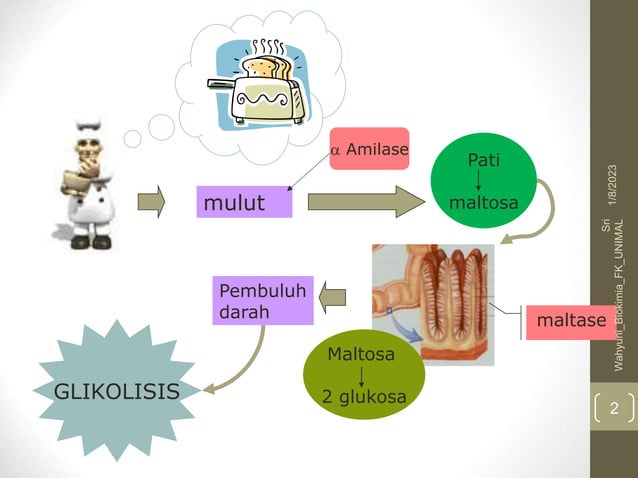 Glikolisis.ppt