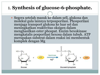 glikolisis merupakan metabolisme karbohidrat yang bertujuan untuk menghasilkan energi.pdf