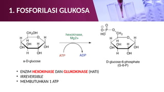 GLYCOLYSIS (CARBOHYDRATE METABOLISME).pptx