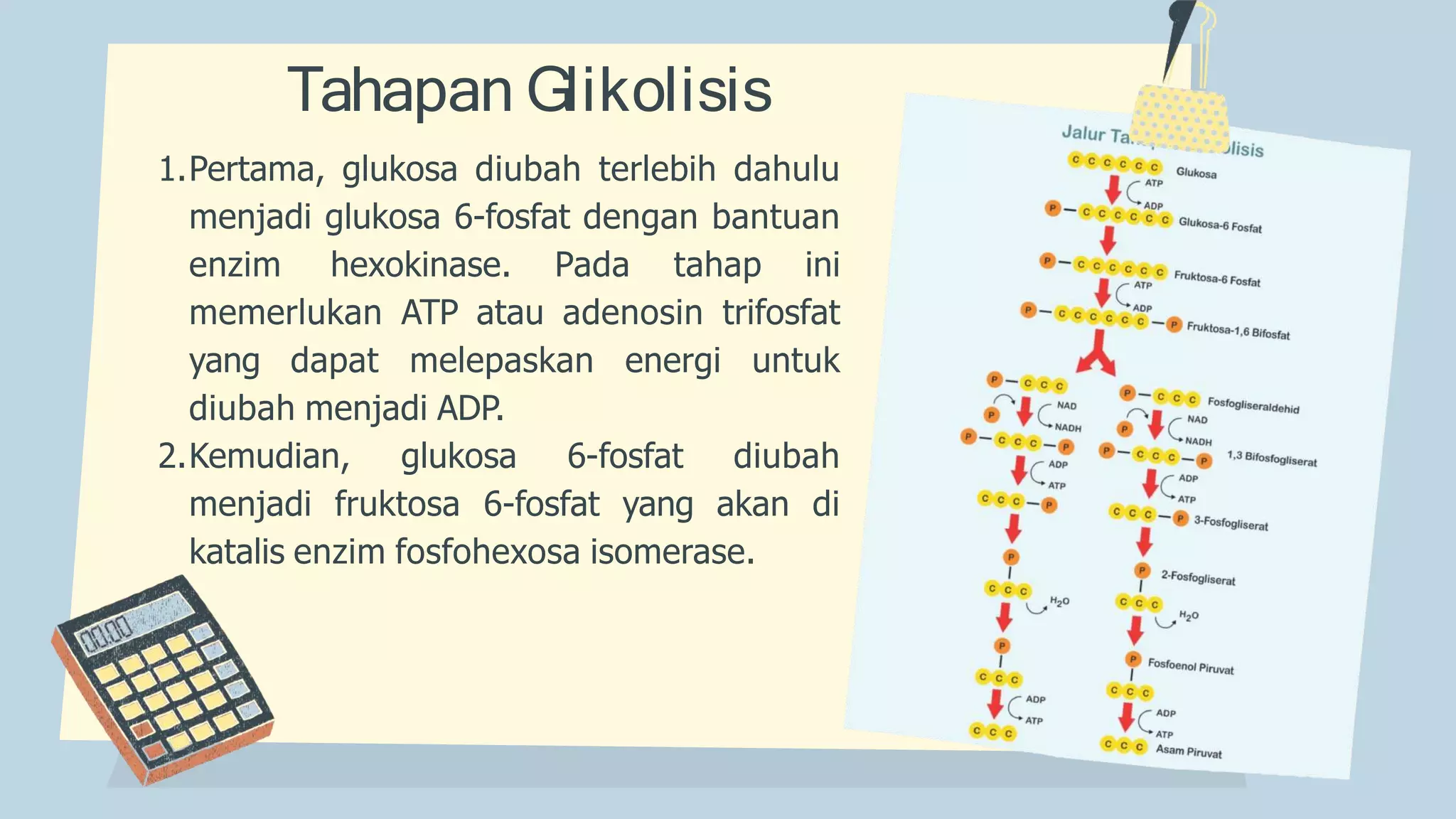 Glikolisis-Kelompok 3.pptx