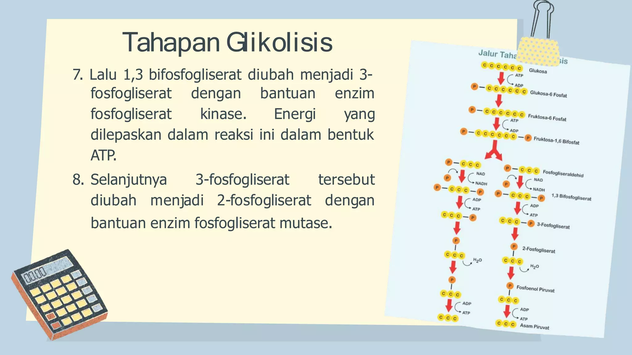 Glikolisis-Kelompok 3.pptx
