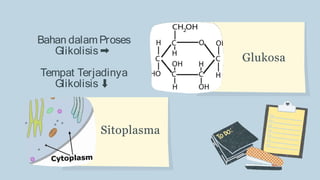 Glikolisis-Kelompok 3.pptx