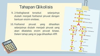 Glikolisis-Kelompok 3.pptx