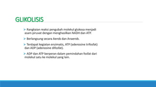 Glikolisis | PPSX